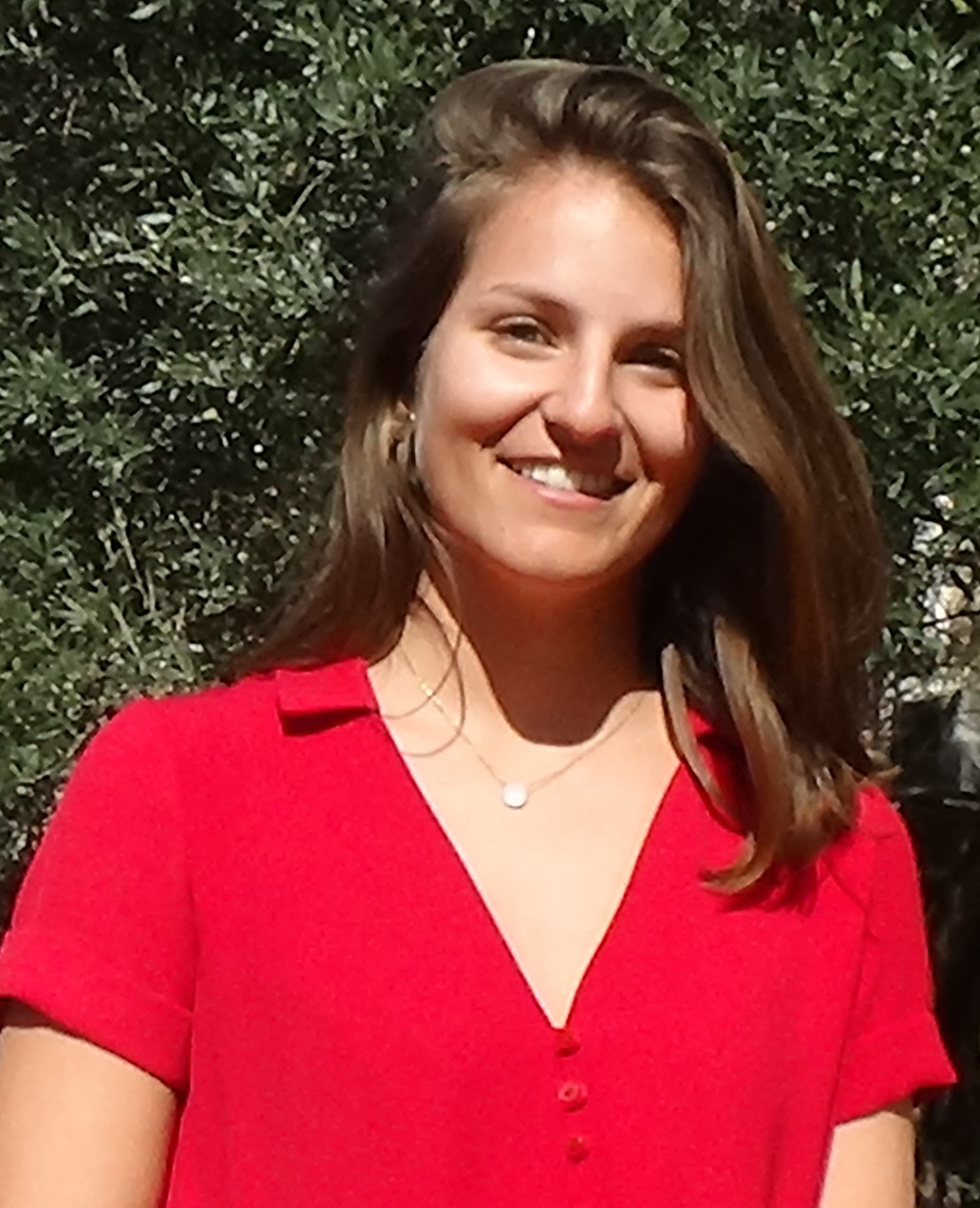 CPPS 2018-2019 - Ingénierie de la Santé